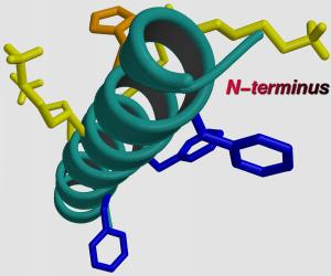 Magainin 2 - 合肥星肽生物科技有限公司